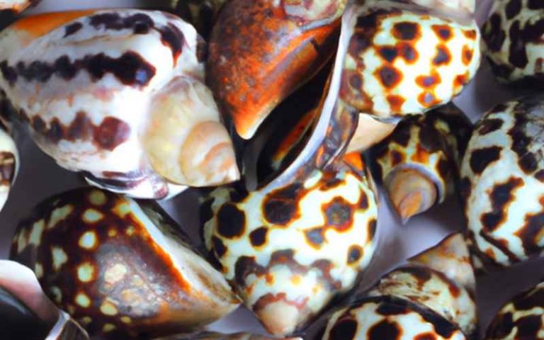 Rennschnecken Eier im Aquarium: Dein Guide zur Pflege